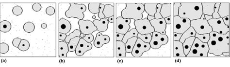 Model Output Of Microstructure Evolution Of Eutectic Spheroidal Download Scientific Diagram