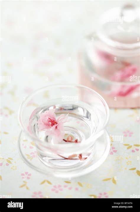 Cherry blossom tea Stock Photo - Alamy