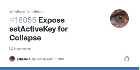 Expose Setactivekey For Collapse · Issue 16055 · Ant Designant Design