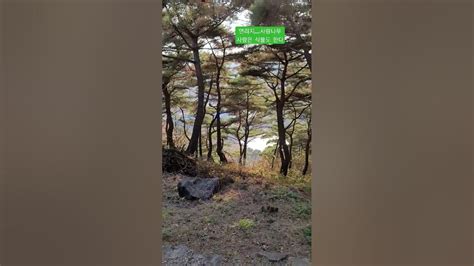 연리지충북 제천뿌리가 다른 두개의 나뭇가지가 서로 엉켜 마치 한나무처럼 자라는 현상이다 마치 천생연분인것처럼 아름답다