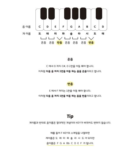 베이스 기타 입문 초보자를 위한 완벽한 베이스 기타 가이드와 베이스 독학 교재 추천