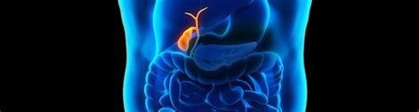 10 Best Cancer Treatment In Bangaloreclinic For Cancer