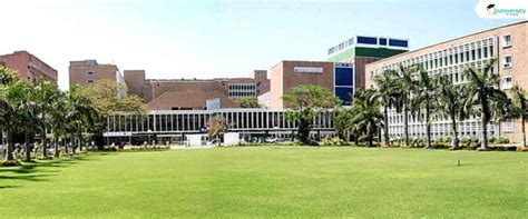 Aiims Mbbs Entrance Exam And Entrances Exam Syllabus 2024