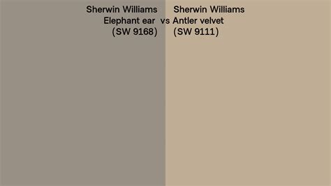 Sherwin Williams Elephant Ear Vs Antler Velvet Side By Side Comparison