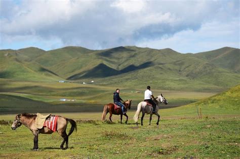 甘南藏区：生态旅游助牧民“绿色”致富大西北网