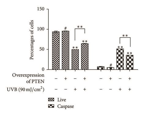 The Overexpression Of PTEN Attenuated Cell Apoptosis And DNA Damage Download Scientific Diagram