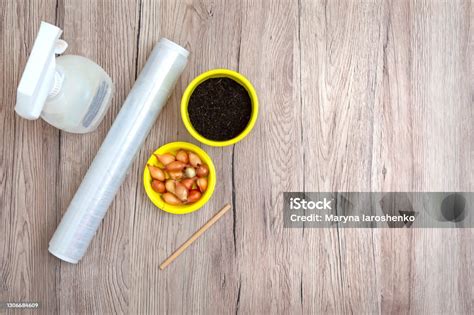 집에서 파를 심고 재배하기위한 액세서리 작은 샬롯 토양 세라믹 냄비 물로 스프레이 병 지침에 대한 복사 공간이있는 테이블에 투명한 플라스틱 랩 가정 생활에 대한 스톡 사진