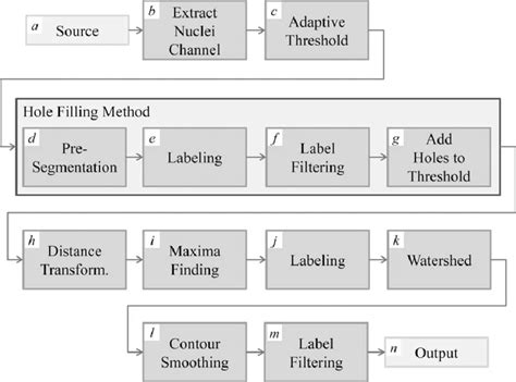 Flow Chart Diagram Illustrating The Modular Framework Of The Cell Download Scientific Diagram