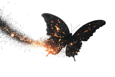 Silhueta Borboleta Pngs Para Download Gratuito
