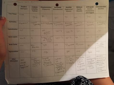 Bio Evolution Quiz Flashcards Quizlet