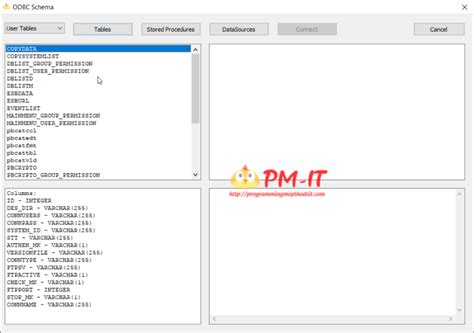 Odbc Schema In Powerbuilder Powerbuilder Library
