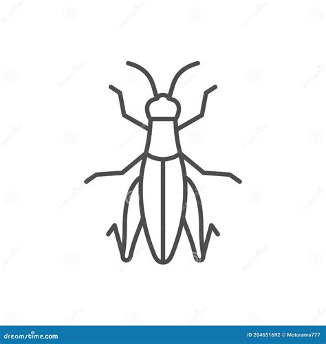 Grasshopper Line Outline Or Insect Concept Stock Vector Illustration