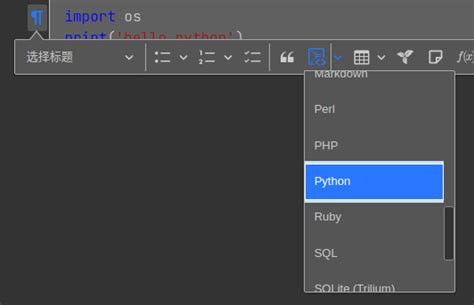 引用文字 段落和代码块
