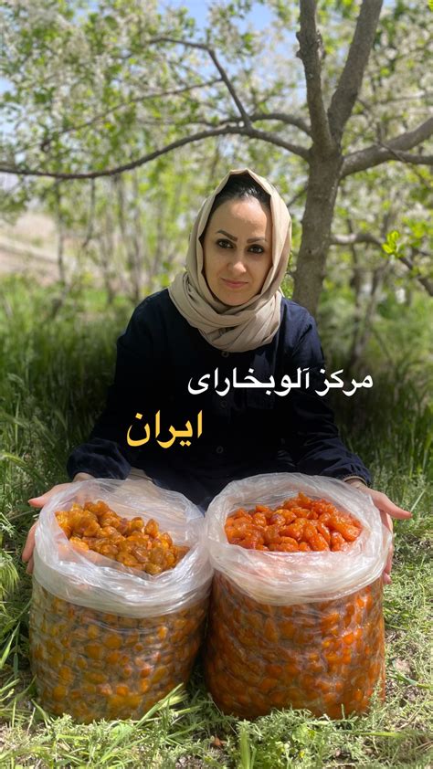 ‎آلوکدهآلوبخاراخشکبارمیوه خشکلواشکقدمگاهی‎ ‎ همین الان فالــو