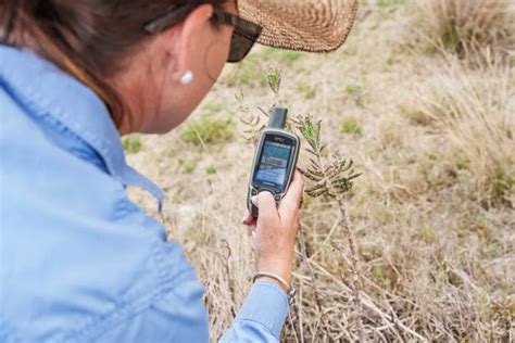 Weed Gps Mapping And Reporting Old Coach Contracting