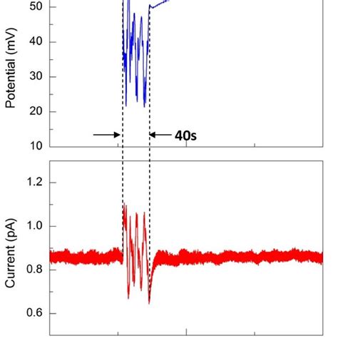 Examples Of Short Time Transients In Tap Water Download Scientific
