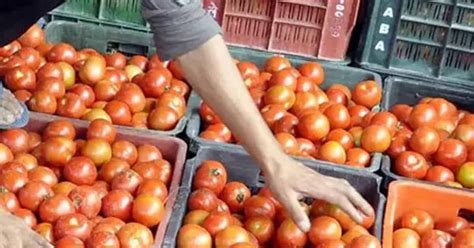 Tomato రూ21 లక్షల విలువైన టమాటాలతో లారీ మిస్సింగ్ Truck Loaded