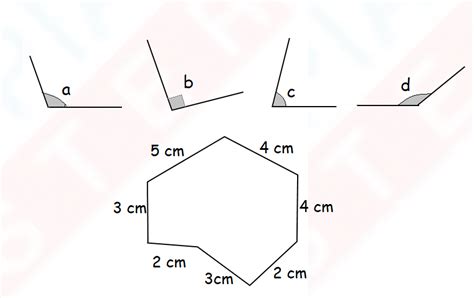 Imo Class 3 Level 2 Question Paper Set 6 Olympiad Tester