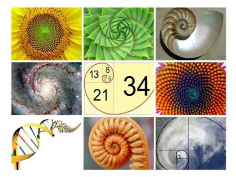 Chapter 1 Class6 Pattern In Maths Notes Pptx