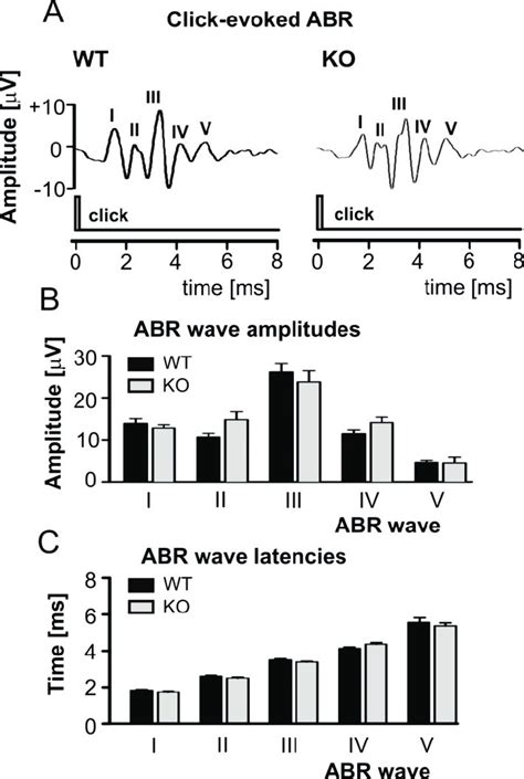 A Examples Of Abr Evoked By Clicks Of 70 Db Spl In 2 Month Old Wt