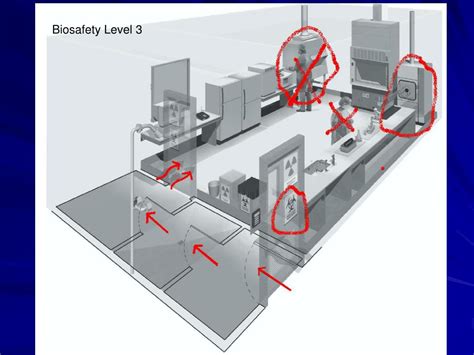 Ppt Biosafety Levels And Risk Groups Powerpoint Presentation Free