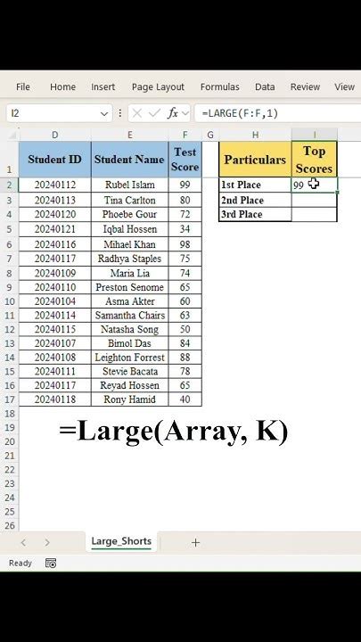 large function in excel how to use large function excel