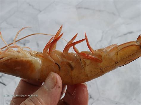 대하소금구이 만드는법~ 자연산 대하요리