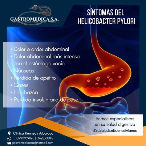 Síntomas Del Helicobacter Pylori Gastromedica Sa