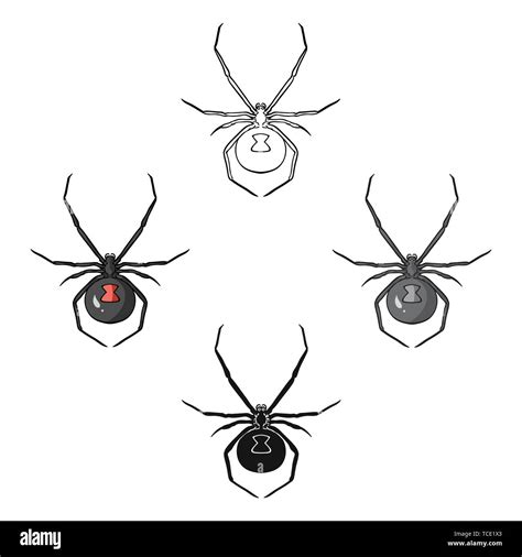 Redback Spider Stock Vector Images Alamy