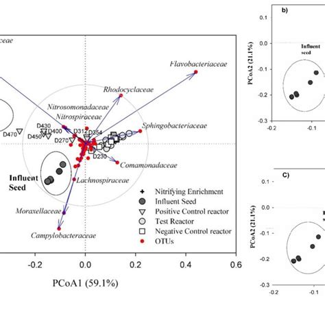 Principal Coordinate Analysis Pcoa Of 16s Rrna Gene Amplicon