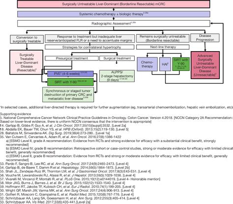 Figure 6 From Role Of Yttrium 90 Selective Internal Radiation Therapy