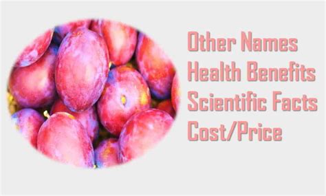 Aloo Bukhara In English Albukar Fruit Benefits Facts Cost Of Albakara