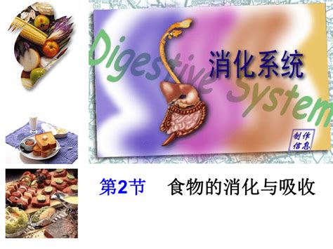 食物的消化与吸收3课时 21世纪教育网