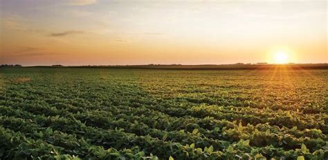 Itafos Tsxv Ifos Releases Final Environmental Impact Statement For