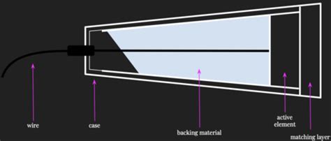Transducer Architecture Flashcards Quizlet
