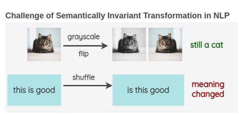 data augmentation techniques for text part 1 2019 fast ai course