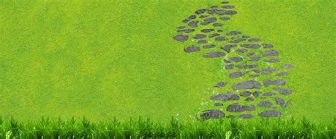 Green Grass Poster Background Green Grass Poster Background Image