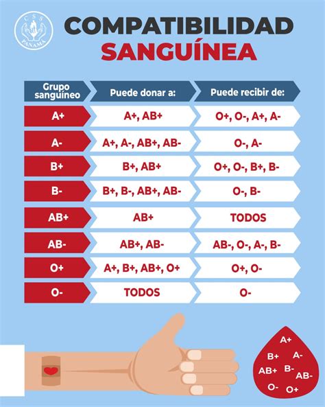 Tabela Dos Tipos Sanguíneos FDPLEARN