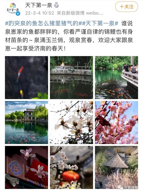 济南趵突泉的鱼胖上热搜 网友慌了原来游泳真不减肥