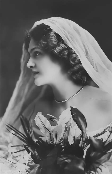 Draycott Galleries Miss Lily Elsie