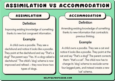 Examples Of Assimilation Vs Accommodation Explained