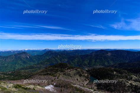 Photolibrary