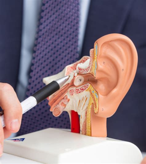 Sydney Paediatric Ent Surgeon For Ear Grommets My Ent