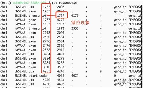 如何查看linux内核版本：uname、hostnamectl和cat命令详解 Linux命令大全手册