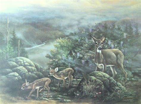 Whitetailed Deer And Other Wildlife Art By Larry K Martin