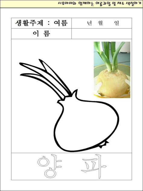 유아교육자료 여름과일채소 색칠하기 ~파일첨부 네이버 블로그
