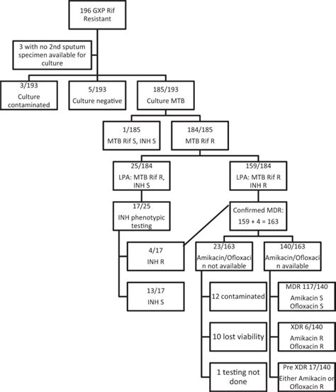Genexpert Mtb Rif Version G4 For Identification Of Rifampin Resistant Tuberculosis In A