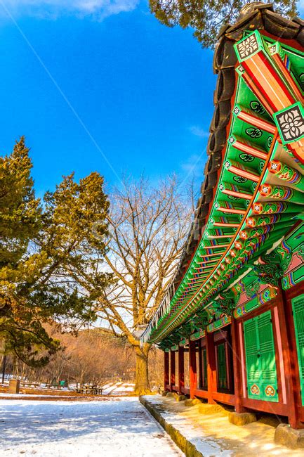 단청 기와 선 패턴 건축 사진 이미지 일러스트 캘리그라피 봉구58작가