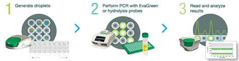 biorad qx200 droplet digital pcr ddpcr system advanced analysis centre