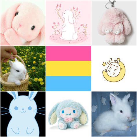 Personalized Pride Flags — Pastel Bunny Based Pansexual Moodboard